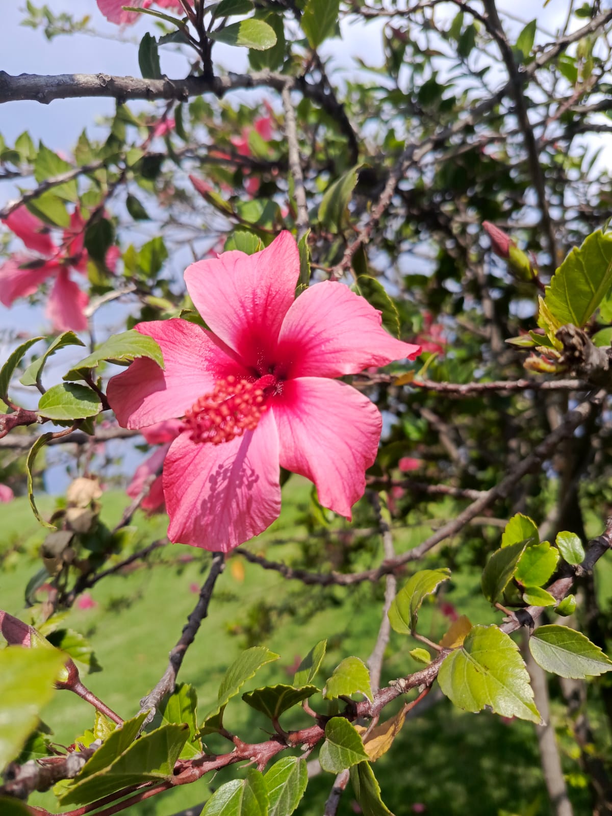 Portafolio de Karen Lorena Pulido